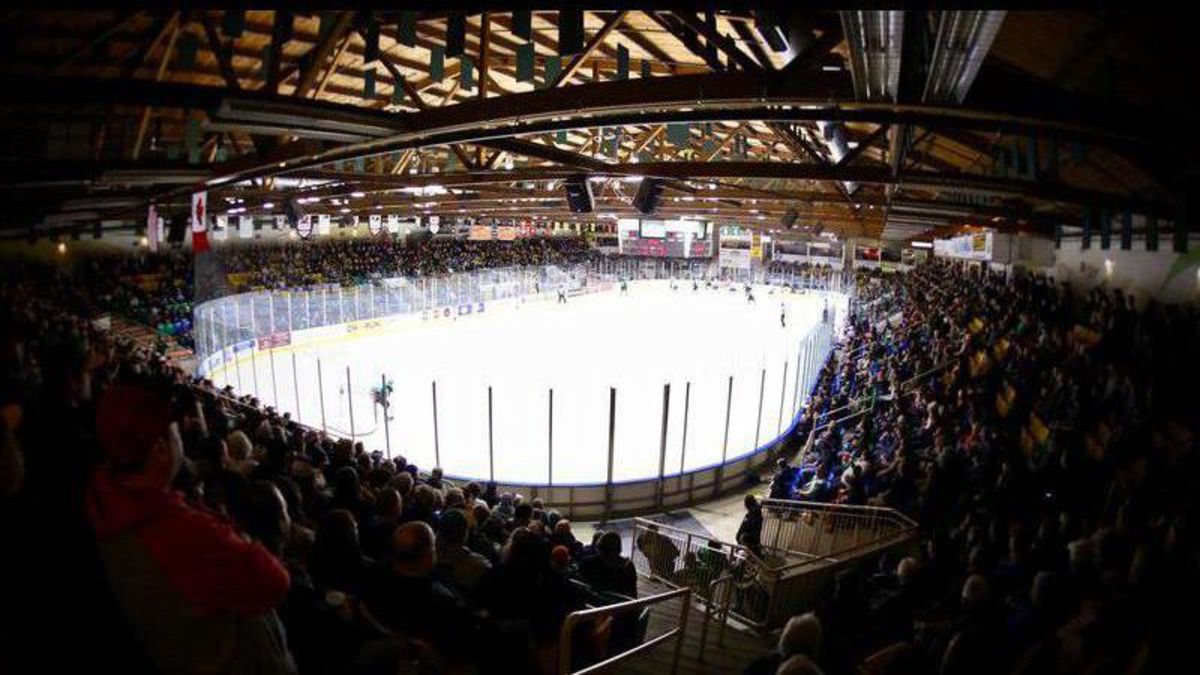 CUPE strike impact: how it will affect Raiders gamedays | paNOW