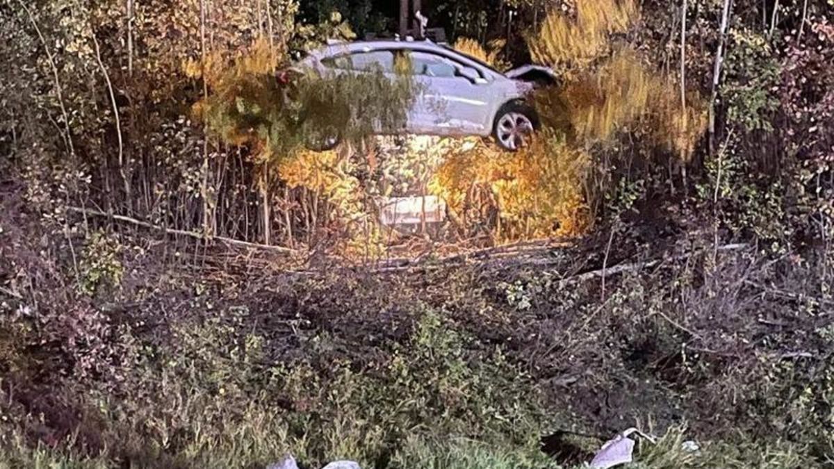 Car ends up 100 feet in bush after highway crash near P.A. | saskNOW ...