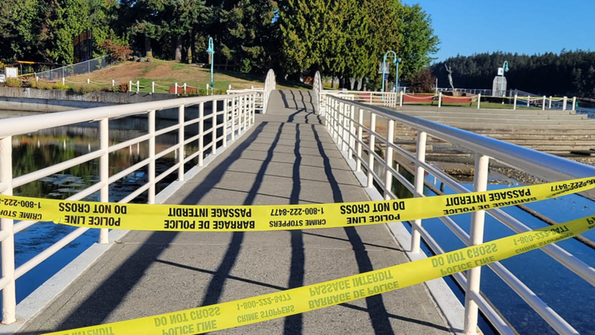 Suspect in fatal Nanaimo stabbing remains in jail, judge tosses ...