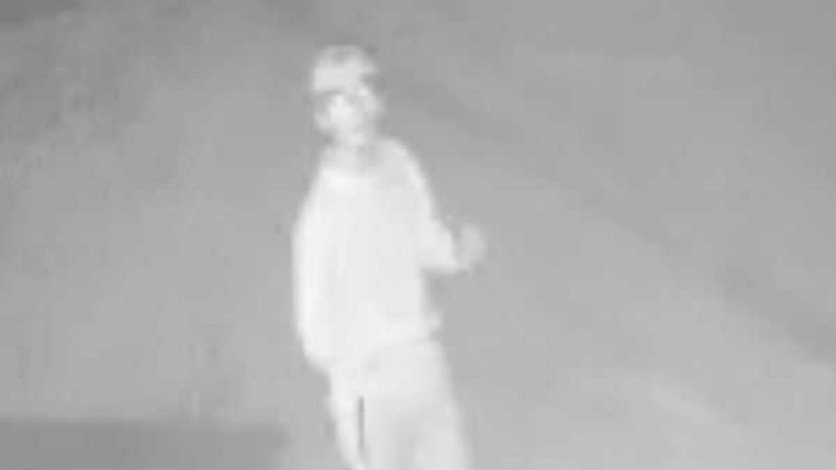 Melfort RCMP asking for help in solving two crimes in the northeast ...