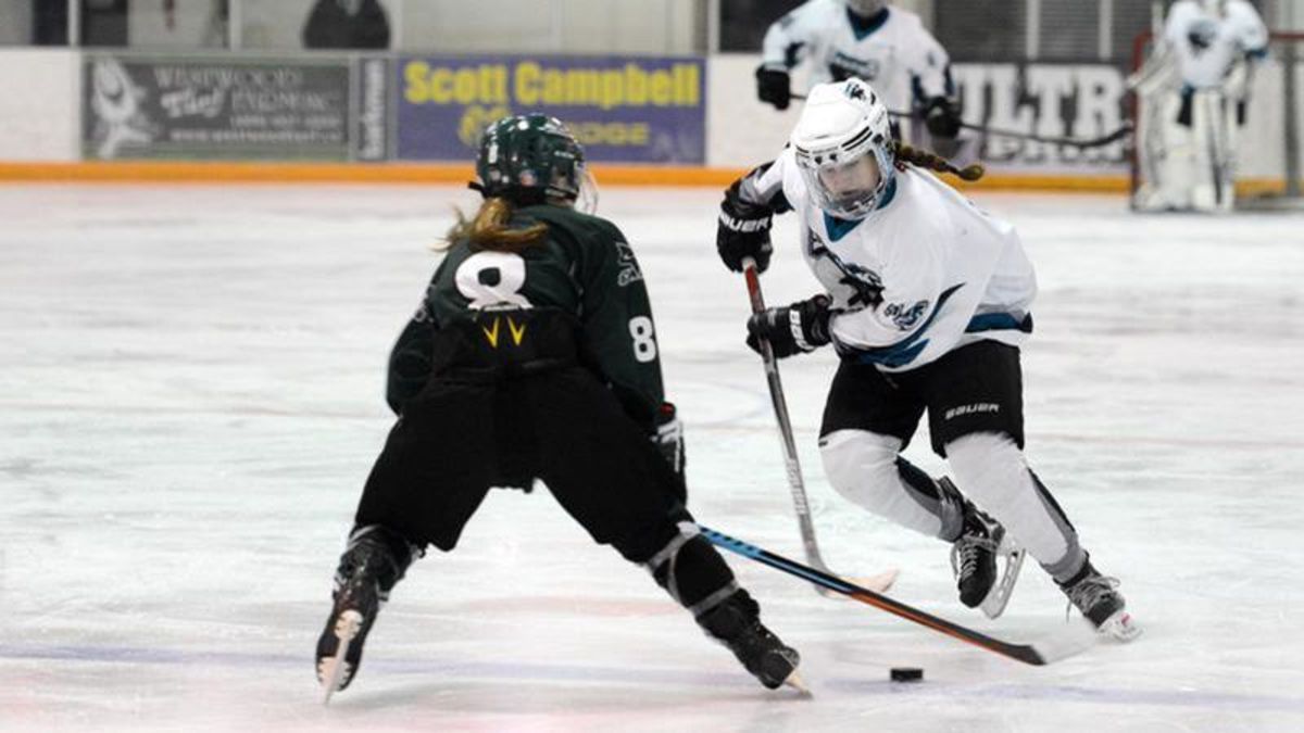 U15 AA Sharks announce roster, prepare for expanded league in 2023-24 ...