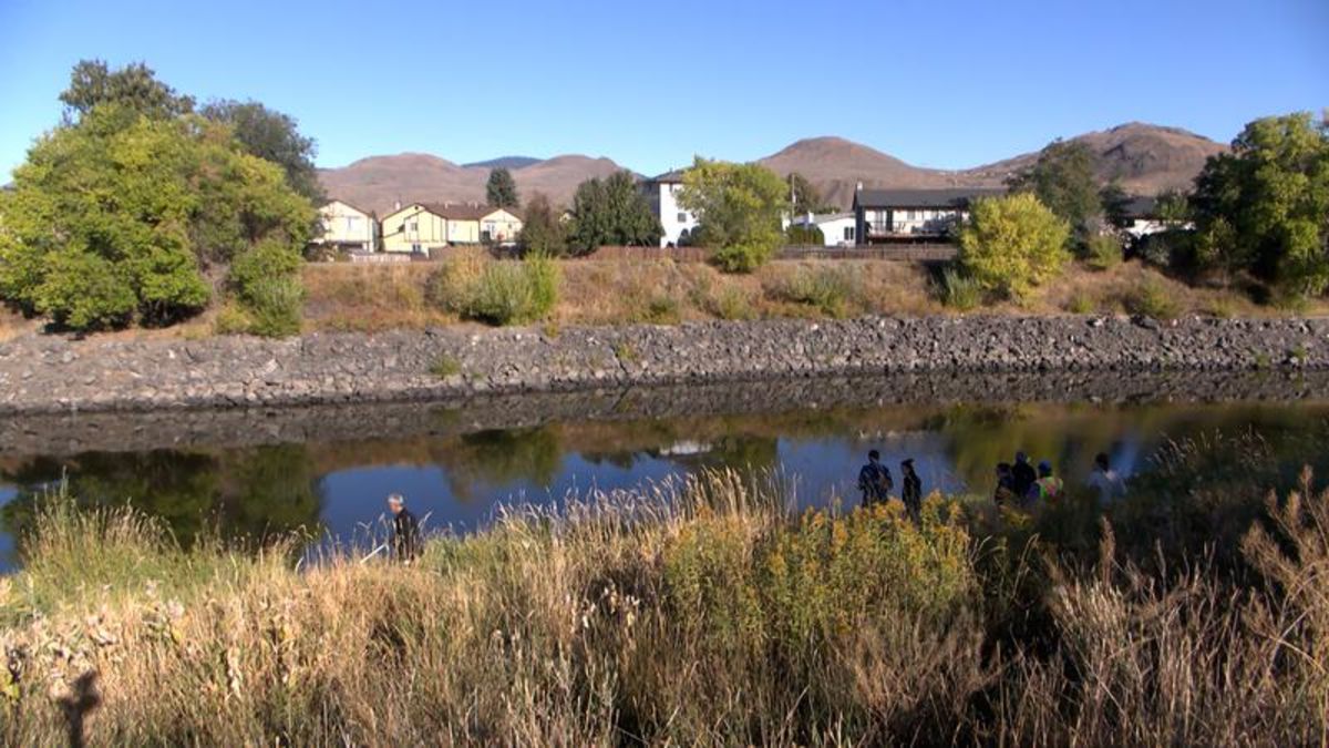 McArthur Island Slough gets a clean-up on B.C. and World Rivers Day ...