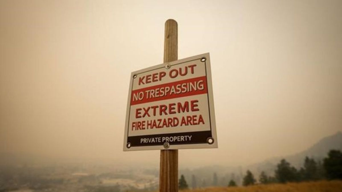 Conditional sentence for woman who set fires at start of 2022 wildfire ...