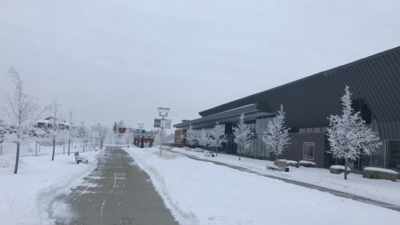 Grande Prairie Public Library hosting Noon Year’s Eve event | EverythingGP