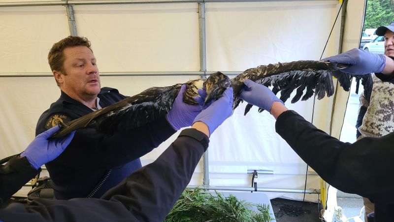 Eagle feather ceremony linking Nanaimo RCMP with local First Nations ...
