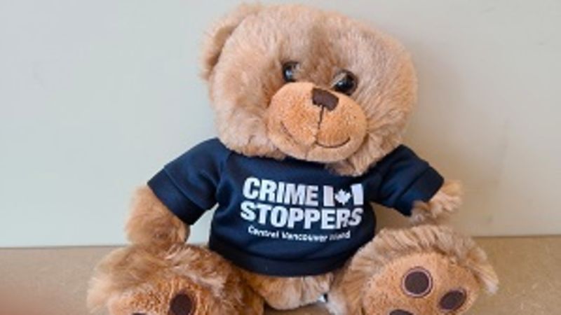 ‘A comfort factor:’ 700 trauma bears purchased for Nanaimo RCMP ...