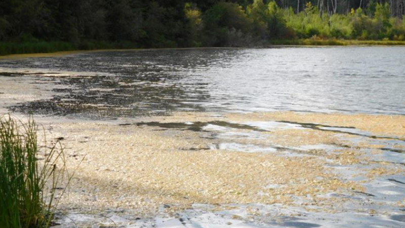 Government announces new drought advisory committee for Alberta ...