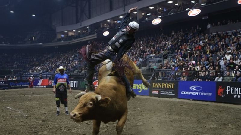 Professional bull riding returning to Medicine Hat in October | CHAT ...