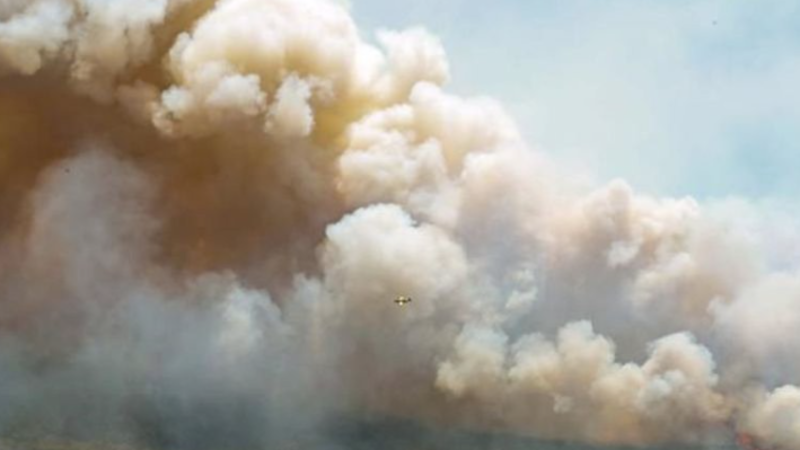 TC Energy responding to pipeline incident near Edson | EverythingGP