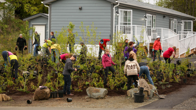 New Nanaimo ‘mini forest’ believed to be first of its kind on Vancouver ...