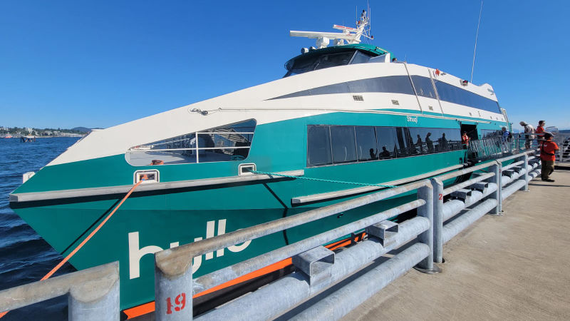 One year in: Hullo Ferries marks first anniversary of maiden voyage ...