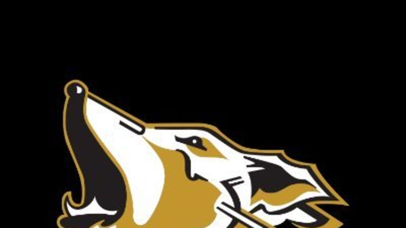 Timberwolves’ soccer teams fall short on Saturday | CKPG Today