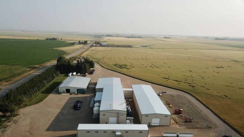 Bayer buying Coaldale canola plant | Lethbridge News Now