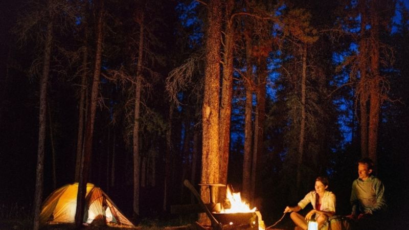 Alberta Parks reports high visitor numbers, satisfaction levels in 2024 ...