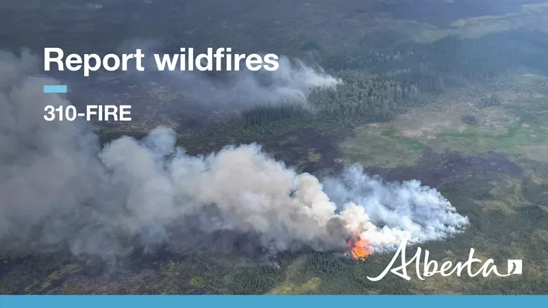 Wildfire rating now high in Grande Prairie Forest Area | EverythingGP