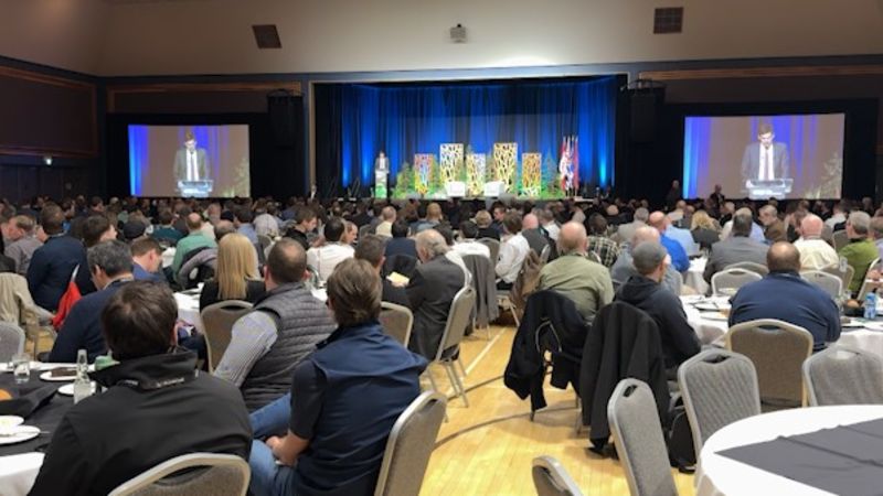 Premier addresses plans to revitalize forestry | CKPG Today