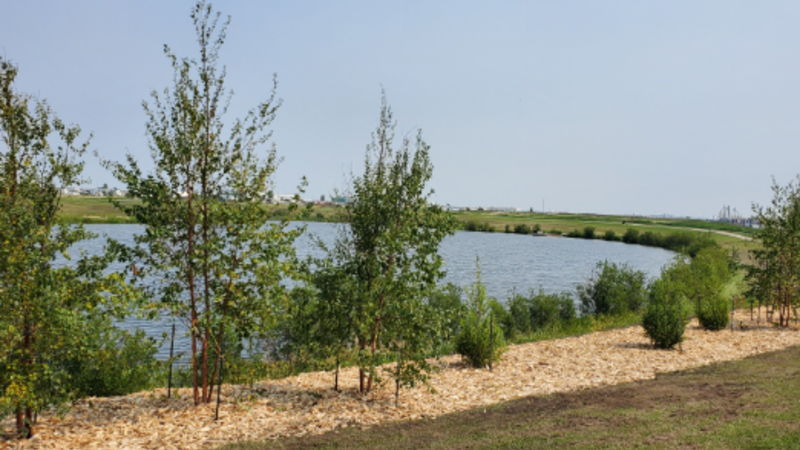 J.D.A County Sportsplex pond stocked for the summer | EverythingGP