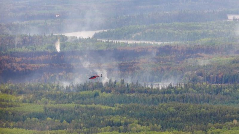 COLLINS: Trump’s stupidity is contagious | CFJC Today Kamloops