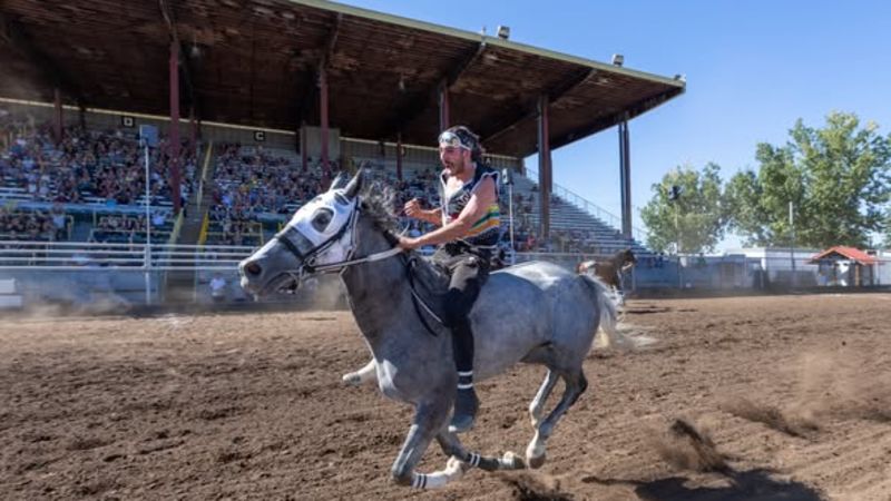 Stampede releases Medicine Hat Indian Relay results from weekend | CHAT ...