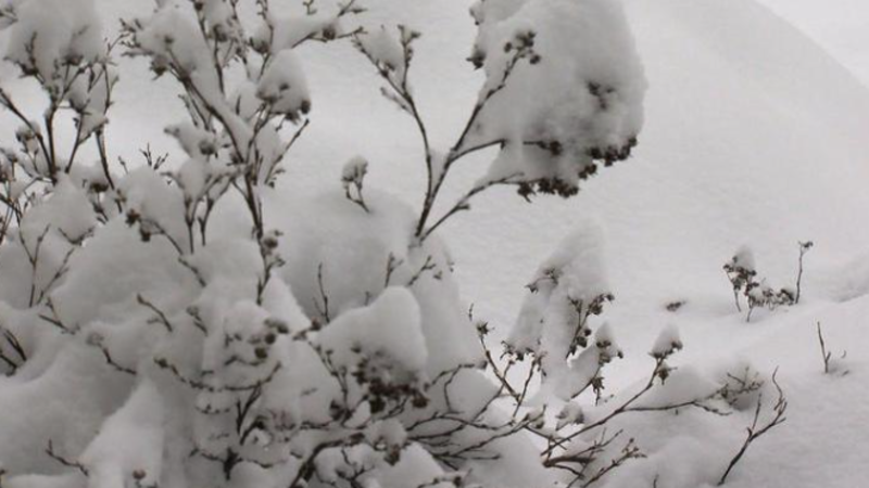 Wintry conditions in the forecast for Prince George | CKPG Today