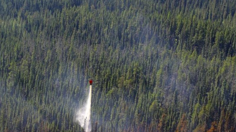 Fire advisory still in place in Peace River Forest Area | EverythingGP