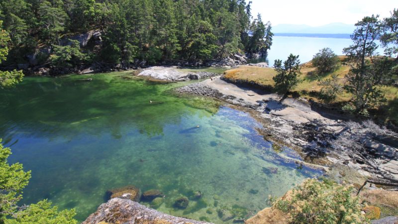 ‘Ecological gem:’ Link Island near Nanaimo donated to preserve rare ...