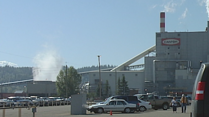 Canfor reveals Sustainability Plan | CKPG Today