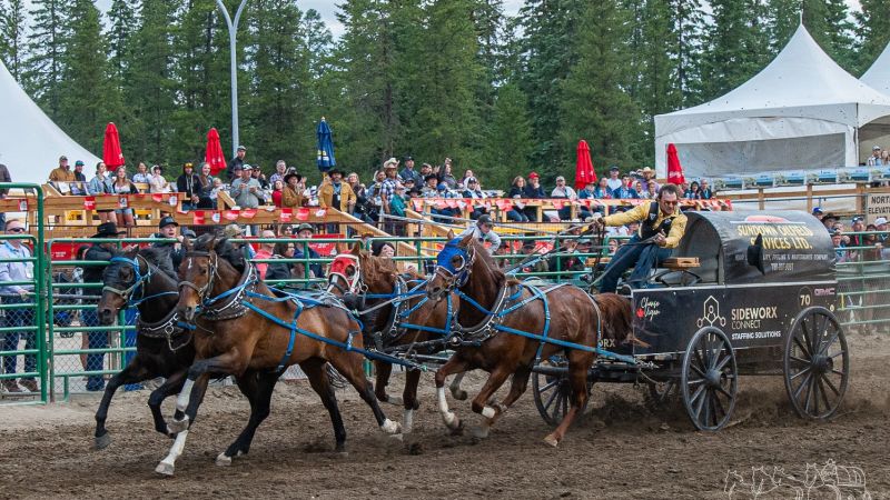 Chanse Vigen wins Grande Prairie Championship and Ralph Vigen Memorial ...
