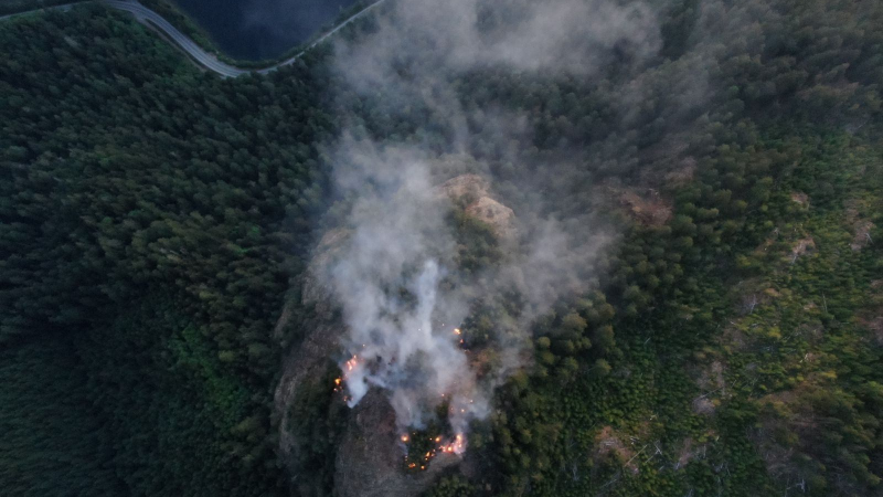 Cameron Lake wildfire grows considerably during windy day as campfire ...