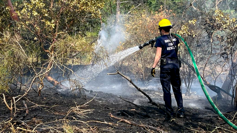 VIDEO: Multiple fires apparently deliberately lit in bush off Nanaimo ... VIDEO: Multiple fires apparently deliberately lit in bush off Nanaimo ...