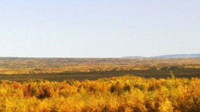 East Prairie Metis Settlement hoping for second road after wildfire ...