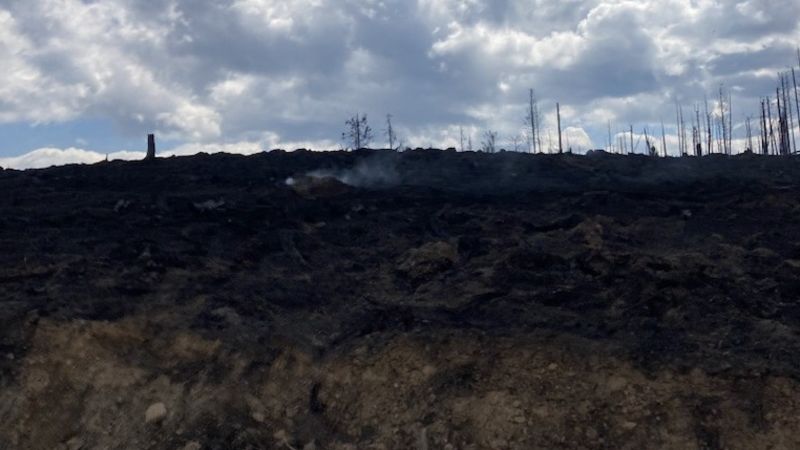 BC Wildfire Service utilizing ‘modified response’ to 2,000-ha Lower ...