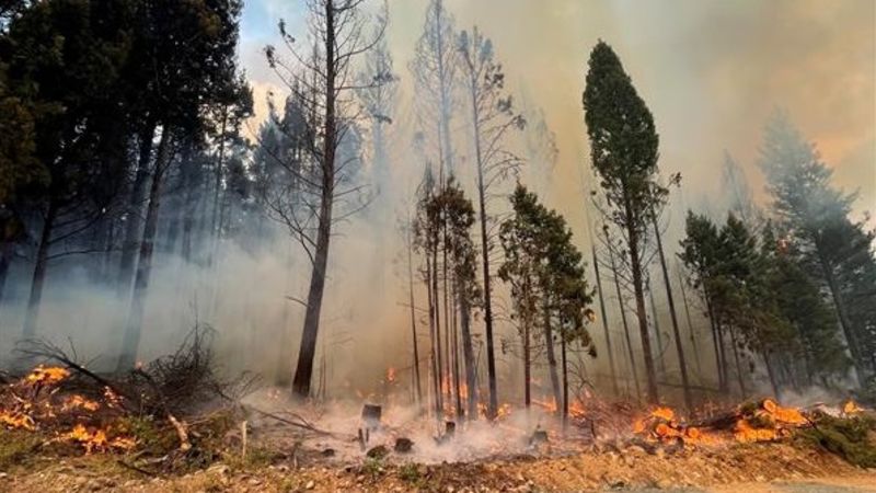 Ross Moore Lake fire near Kamloops increases to 4,100 hectares | CFJC ...