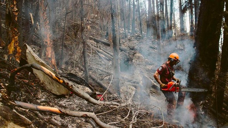 ‘There’s no risk:’ lightning-ignited wildfires reported in Strathcona ...