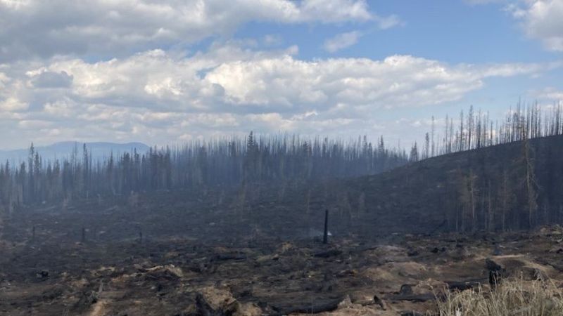 Bush Creek East wildfire displaying active behaviour in southern region ...