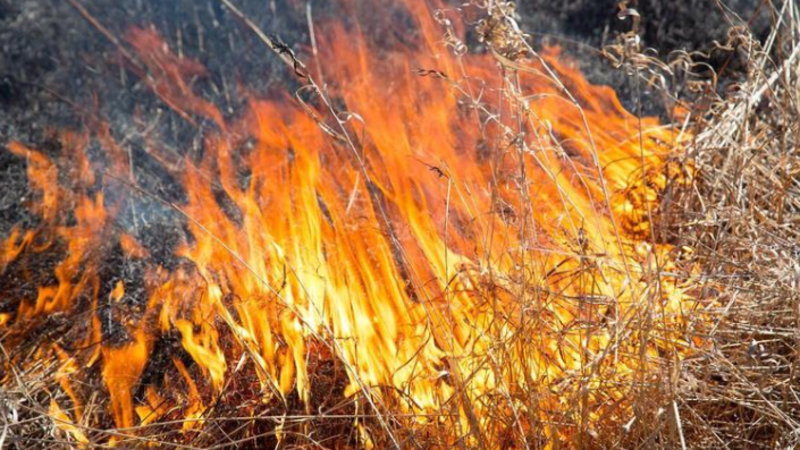 Chateh evacuation & Meander River wildfire situation | EverythingGP