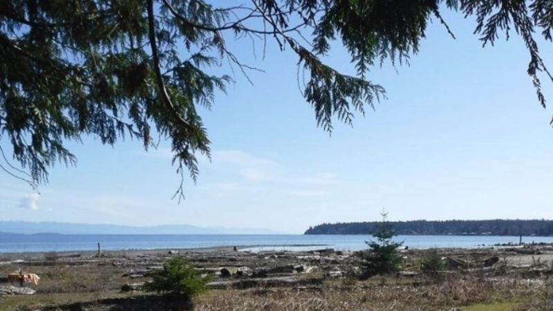 Town of Qualicum Beach seeks opinions to refine waterfront park plan ...